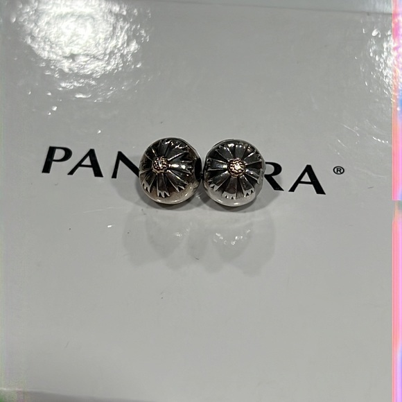 Jewelry | Pandora Clips | Poshmark
